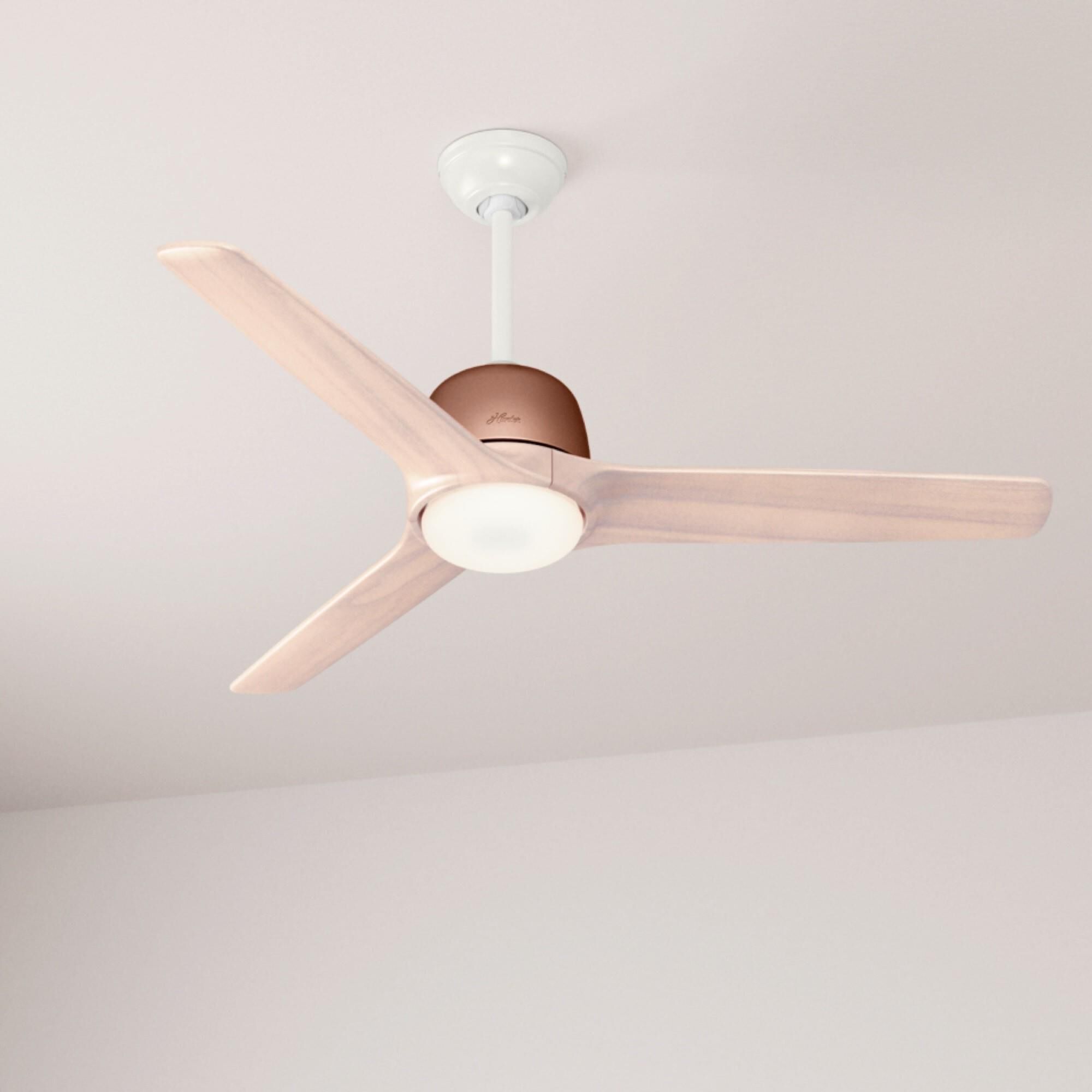 Norden 54 Inch Ceiling Fan with Light Kit | Capitol Lighting