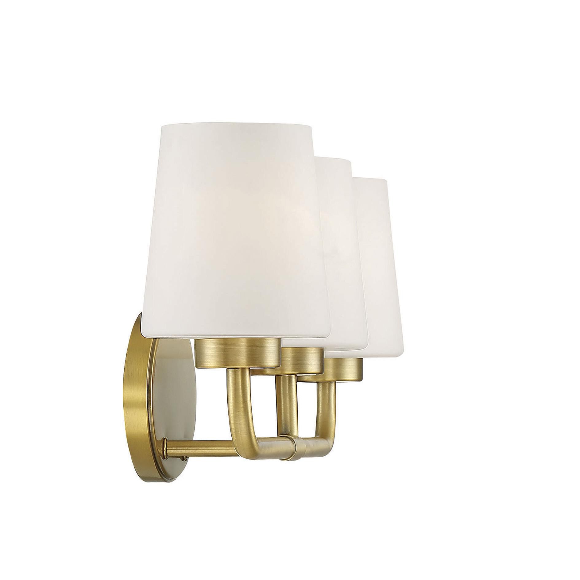 Capra 22 Inch 3 Light Bath Vanity Light | Capitol Lighting