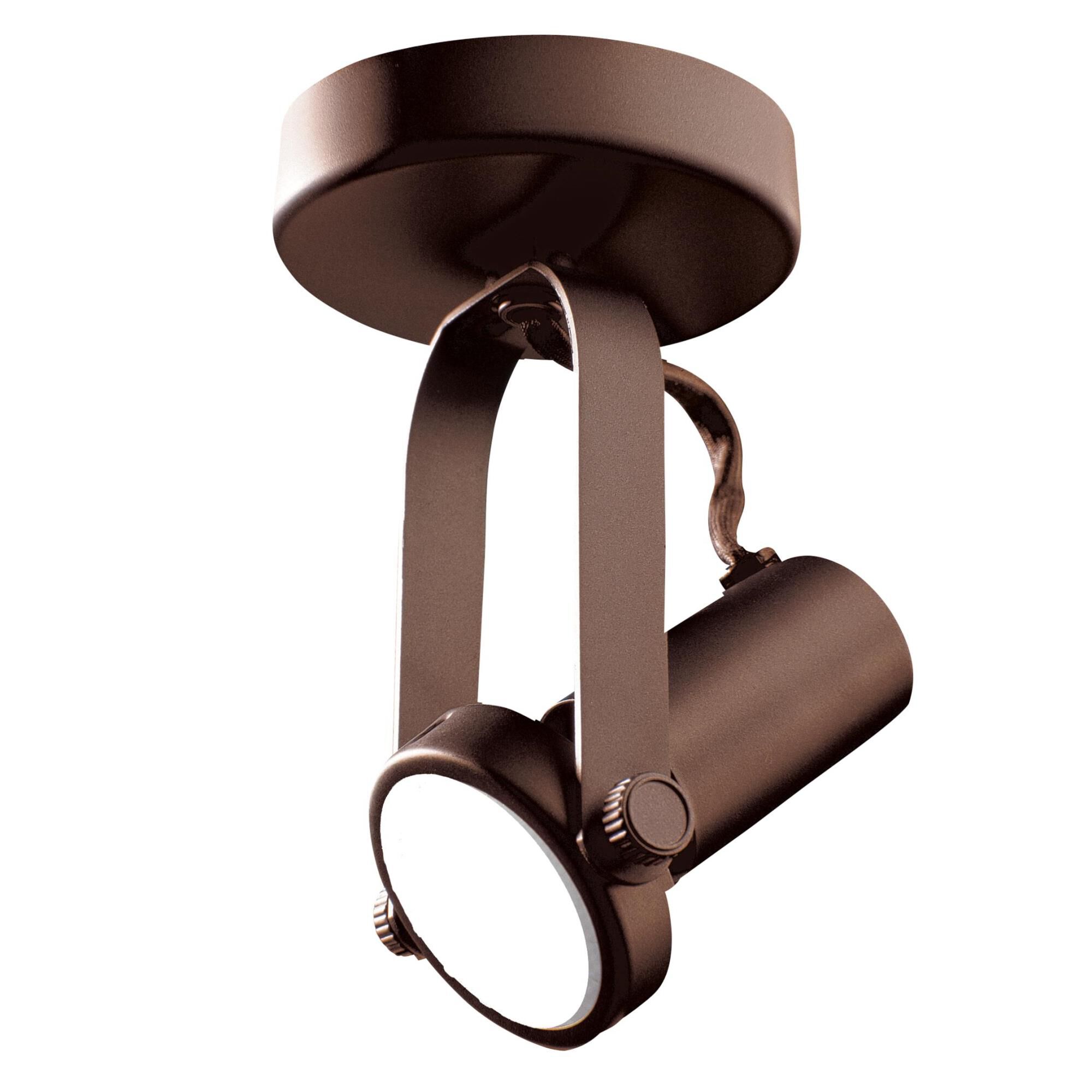 Monopoint Directional Head | Capitol Lighting