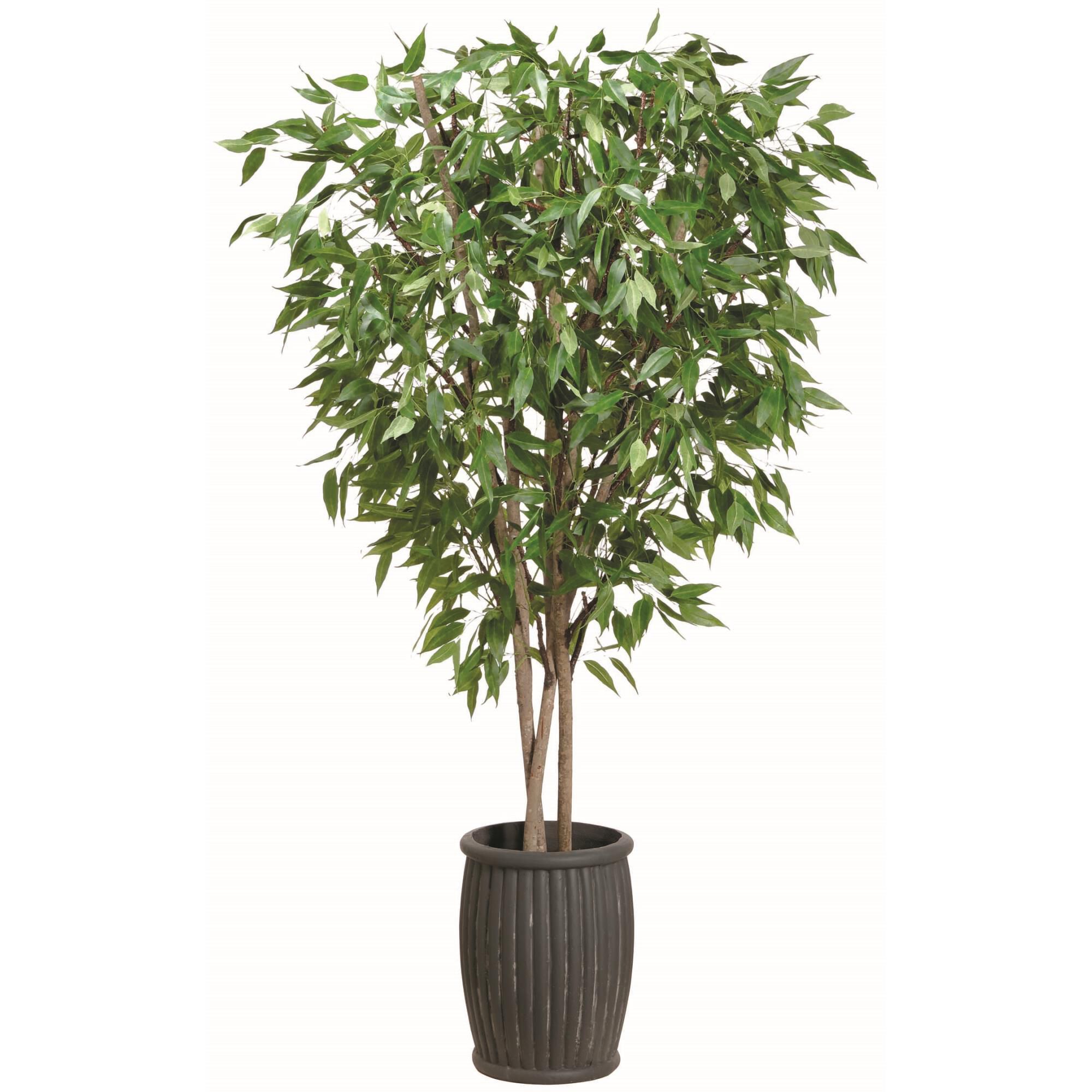 Eucalyptus Tree 120 Inch Botanical | Capitol Lighting
