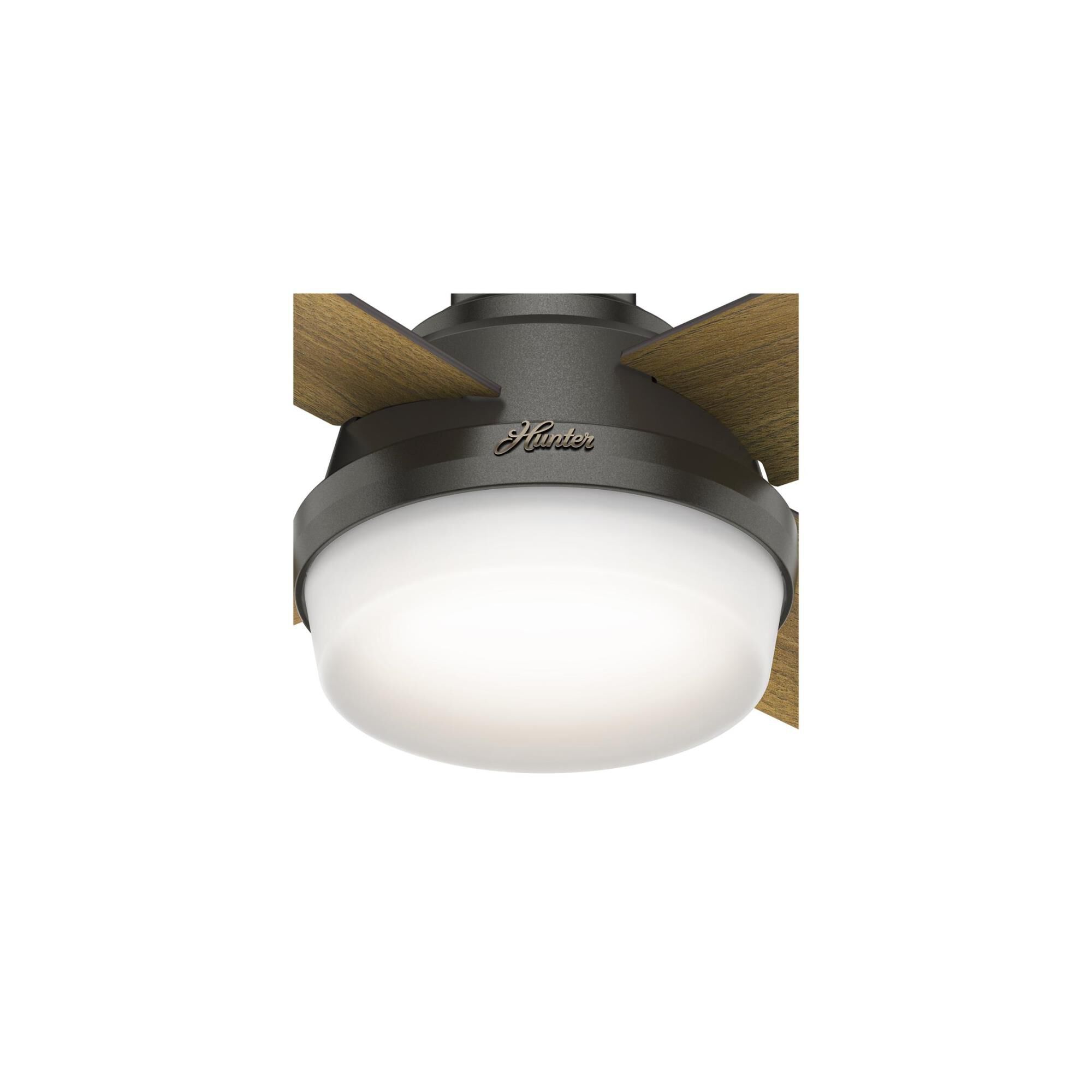 Dempsey 44 Inch Ceiling Fan with Light Kit | Capitol Lighting