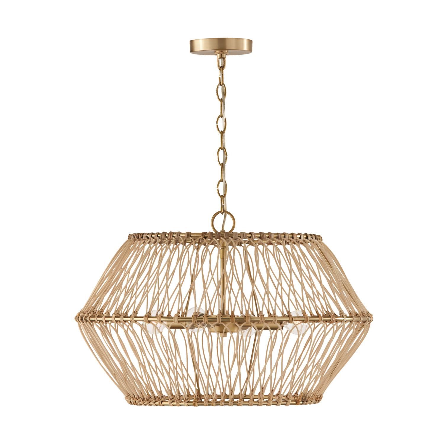 Wren 24 Inch Large Pendant | Capitol Lighting