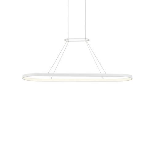 Eerie 47 Inch LED Linear Suspension Light | Capitol Lighting