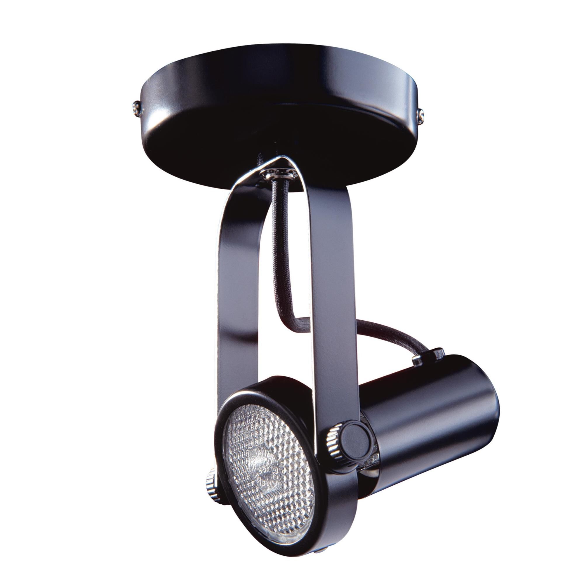Monopoint Directional Head | Capitol Lighting