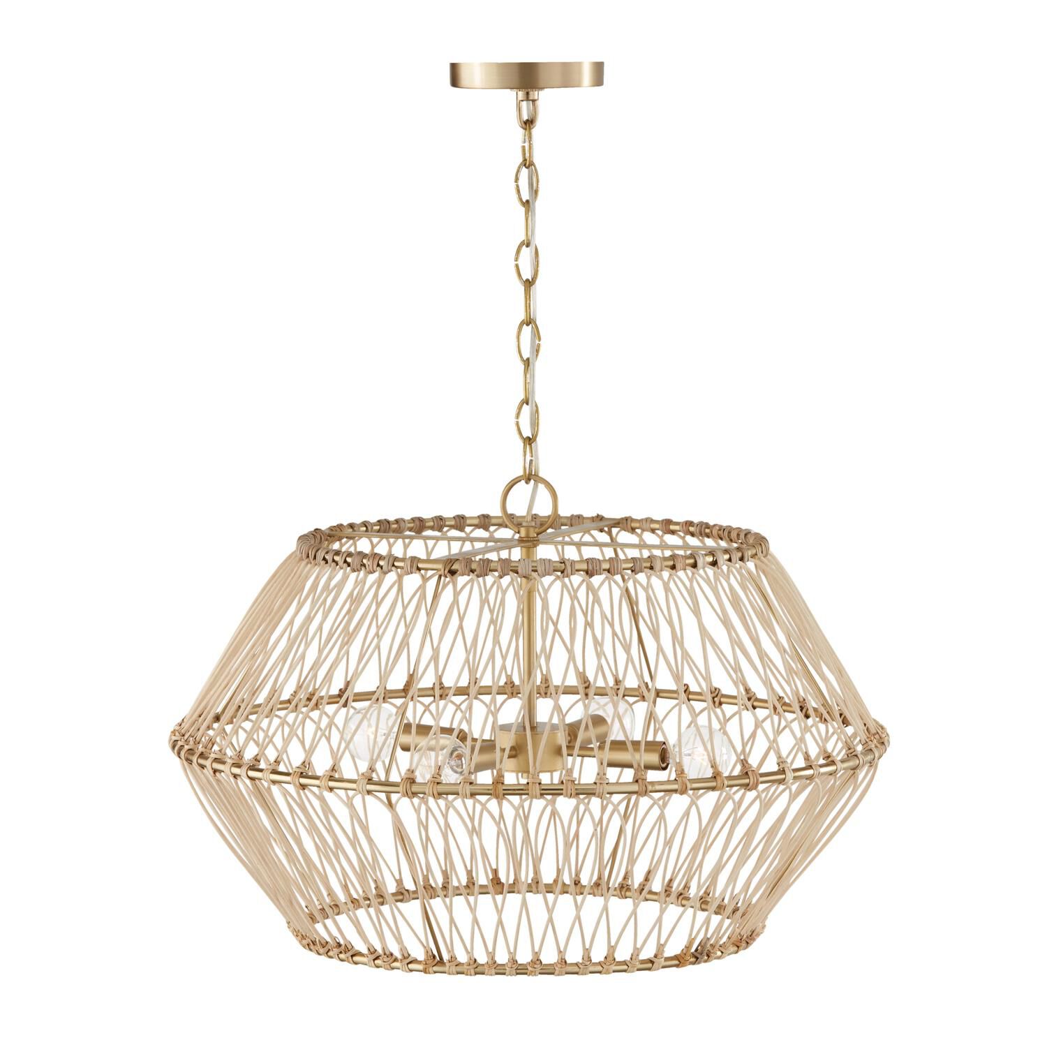Wren 24 Inch Large Pendant | Capitol Lighting