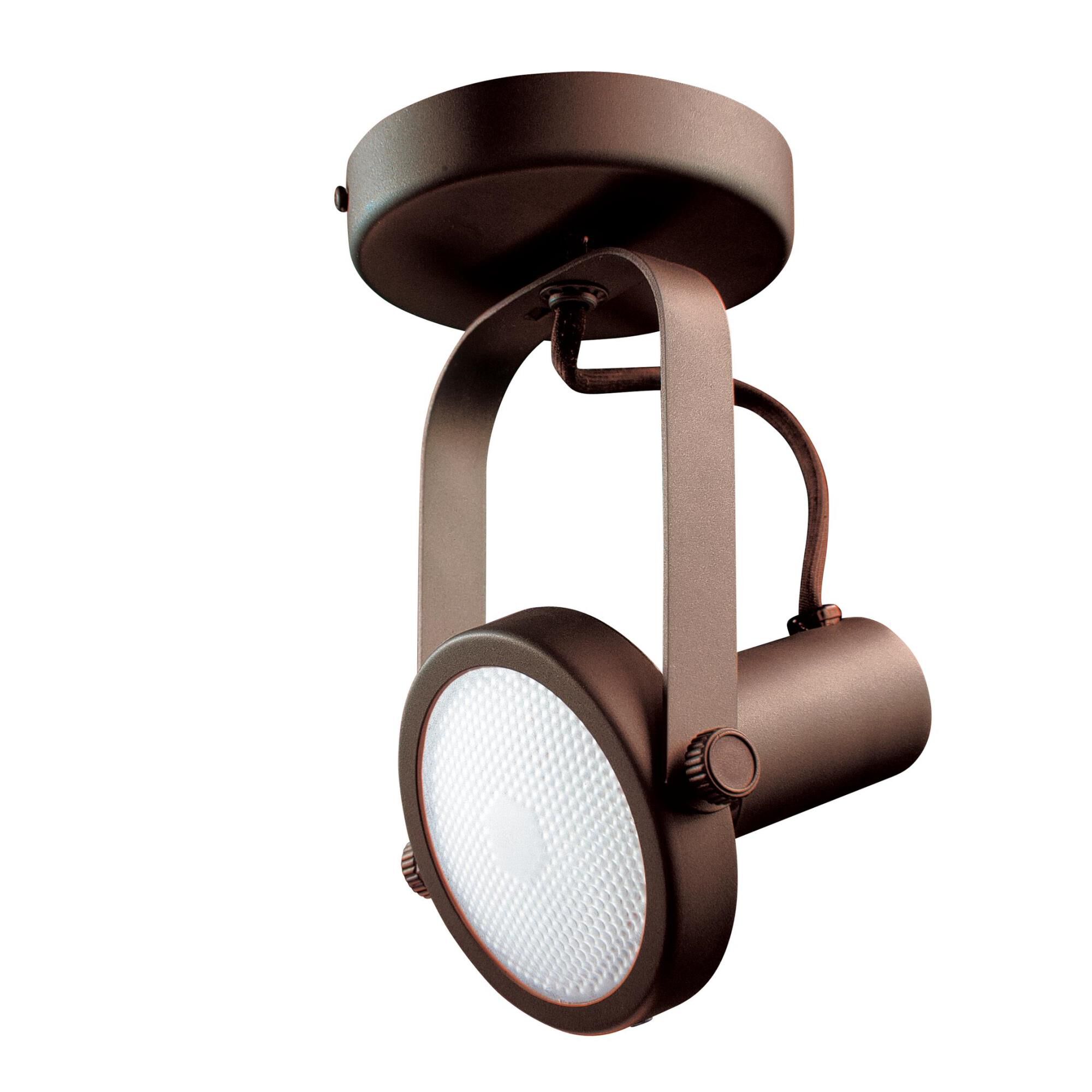 Monopoint Directional Head | Capitol Lighting