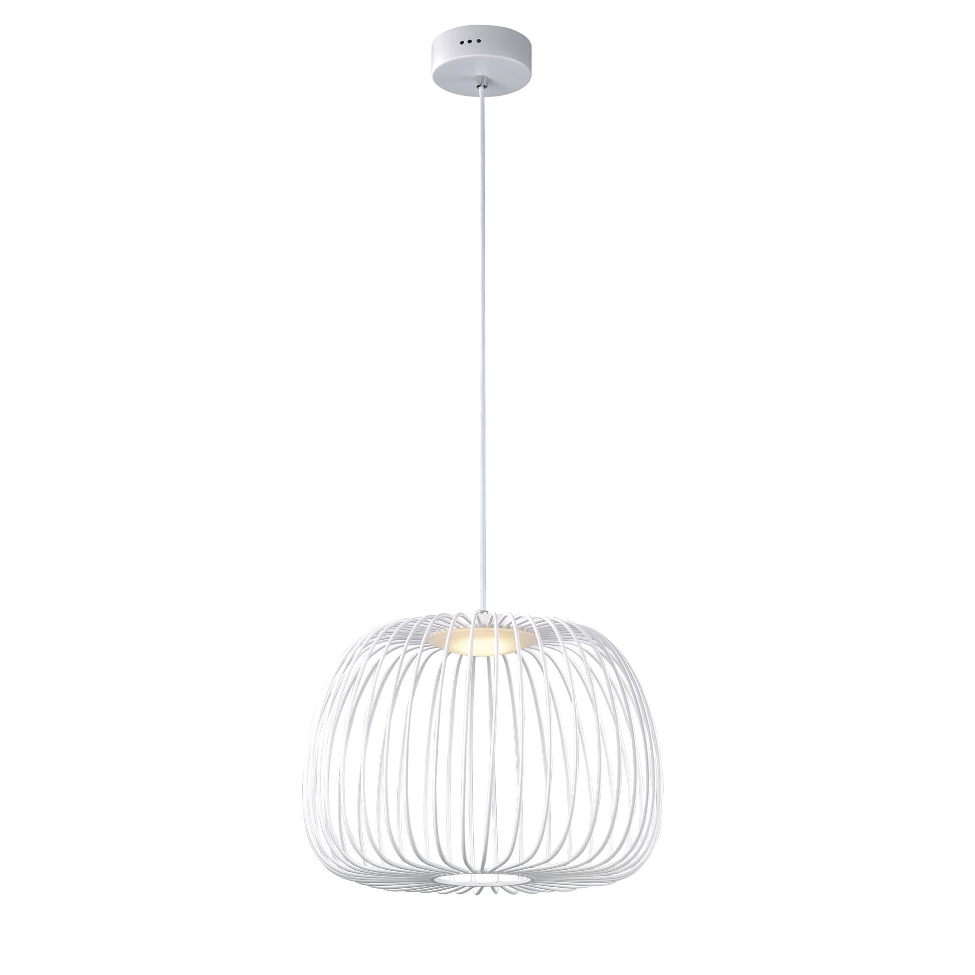 Cage 15 Inch LED Large Pendant | Capitol Lighting