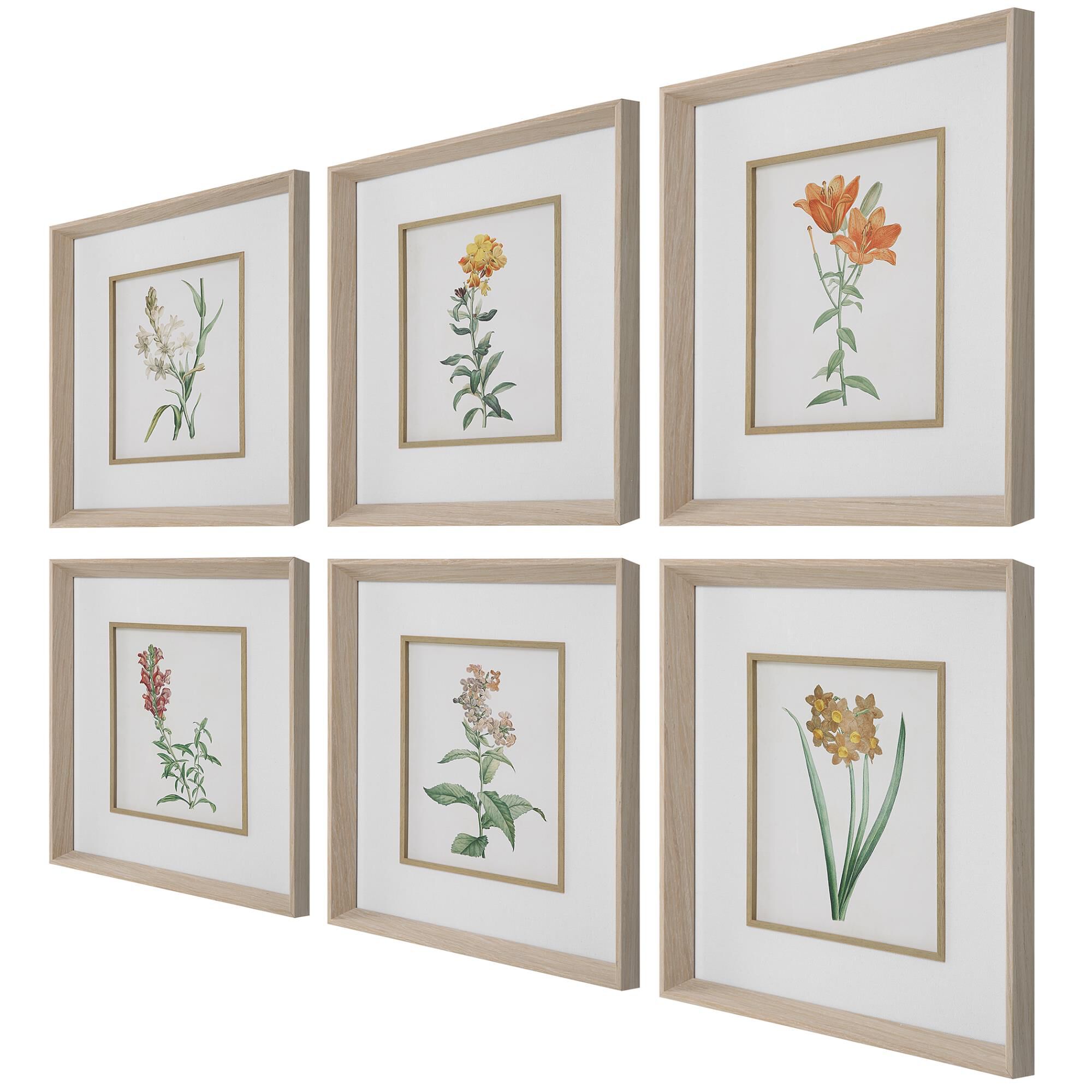 Uttermost Classic Botanicals Framed Prints Set/6 Print | Capitol Lighting