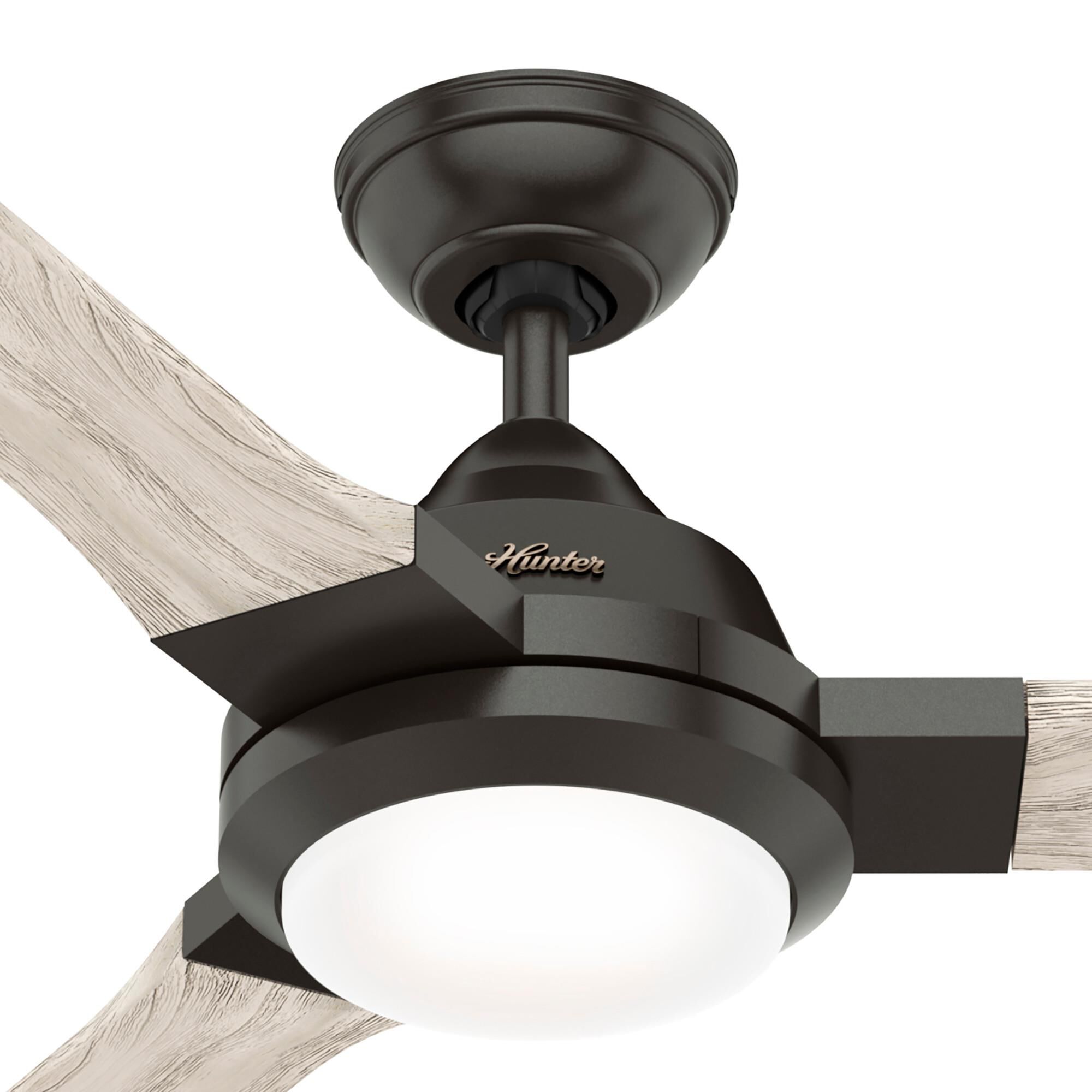 Leti 54 Inch Ceiling Fan with Light Kit | Capitol Lighting