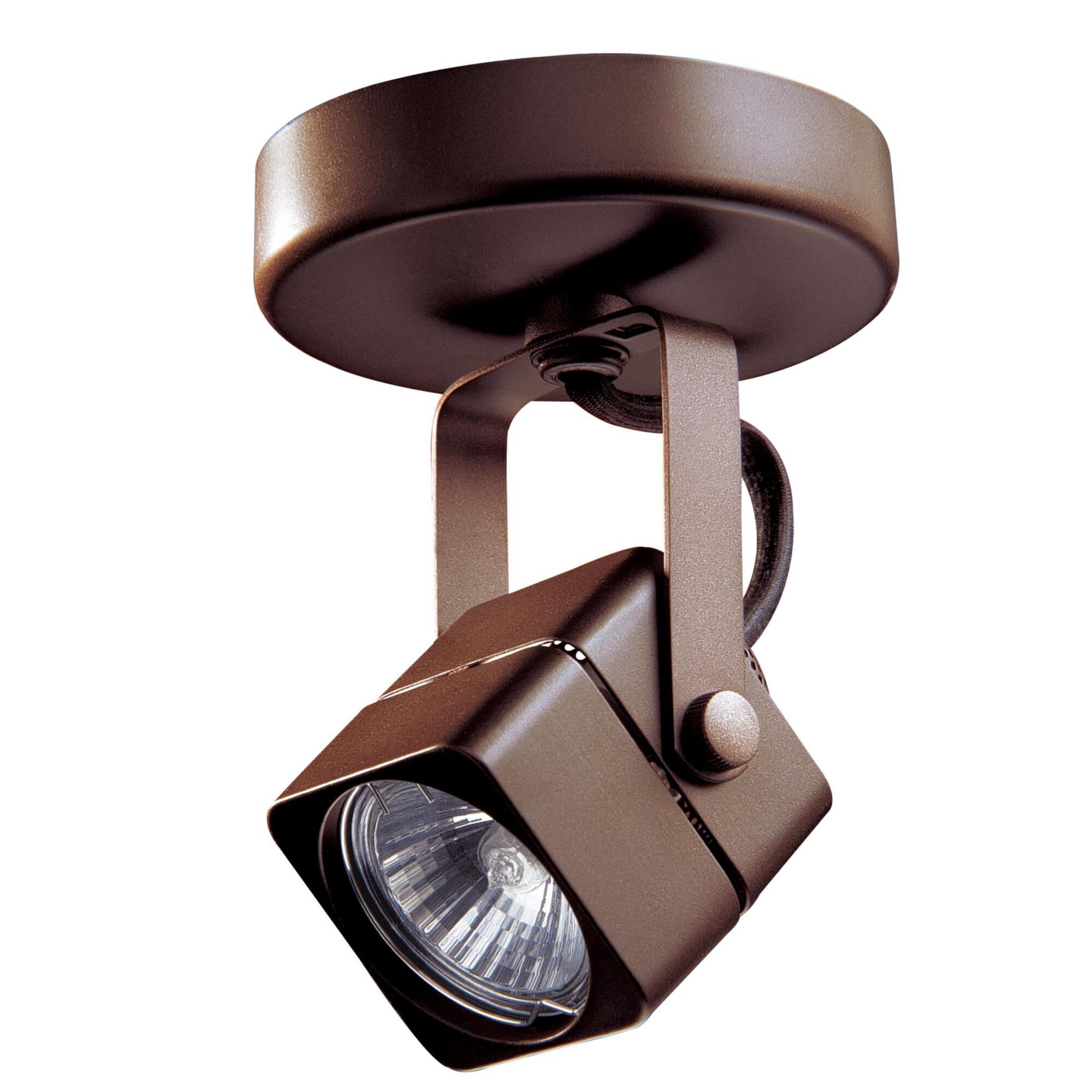 Monopoint Directional Head | Capitol Lighting