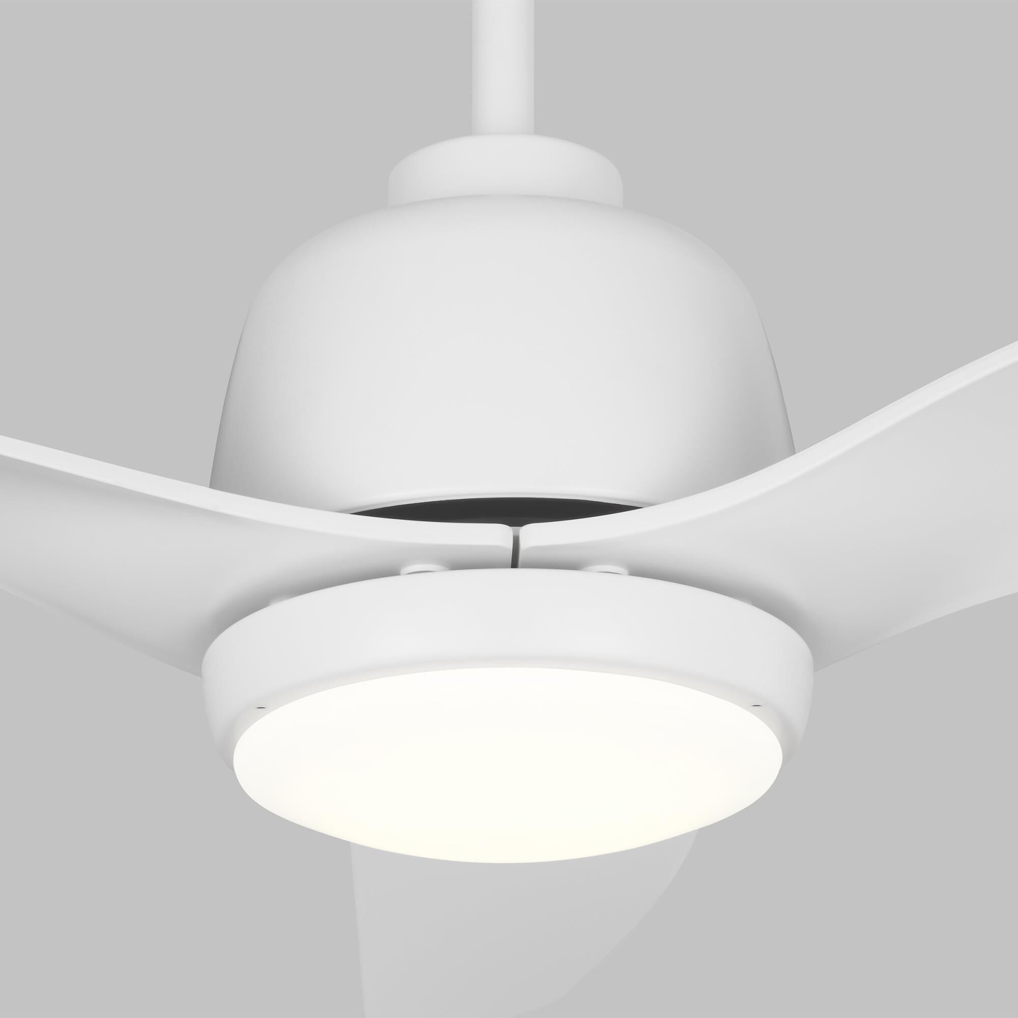 Avila Coastal Outdoor Rated 54 Inch Ceiling Fan with Light Kit ...