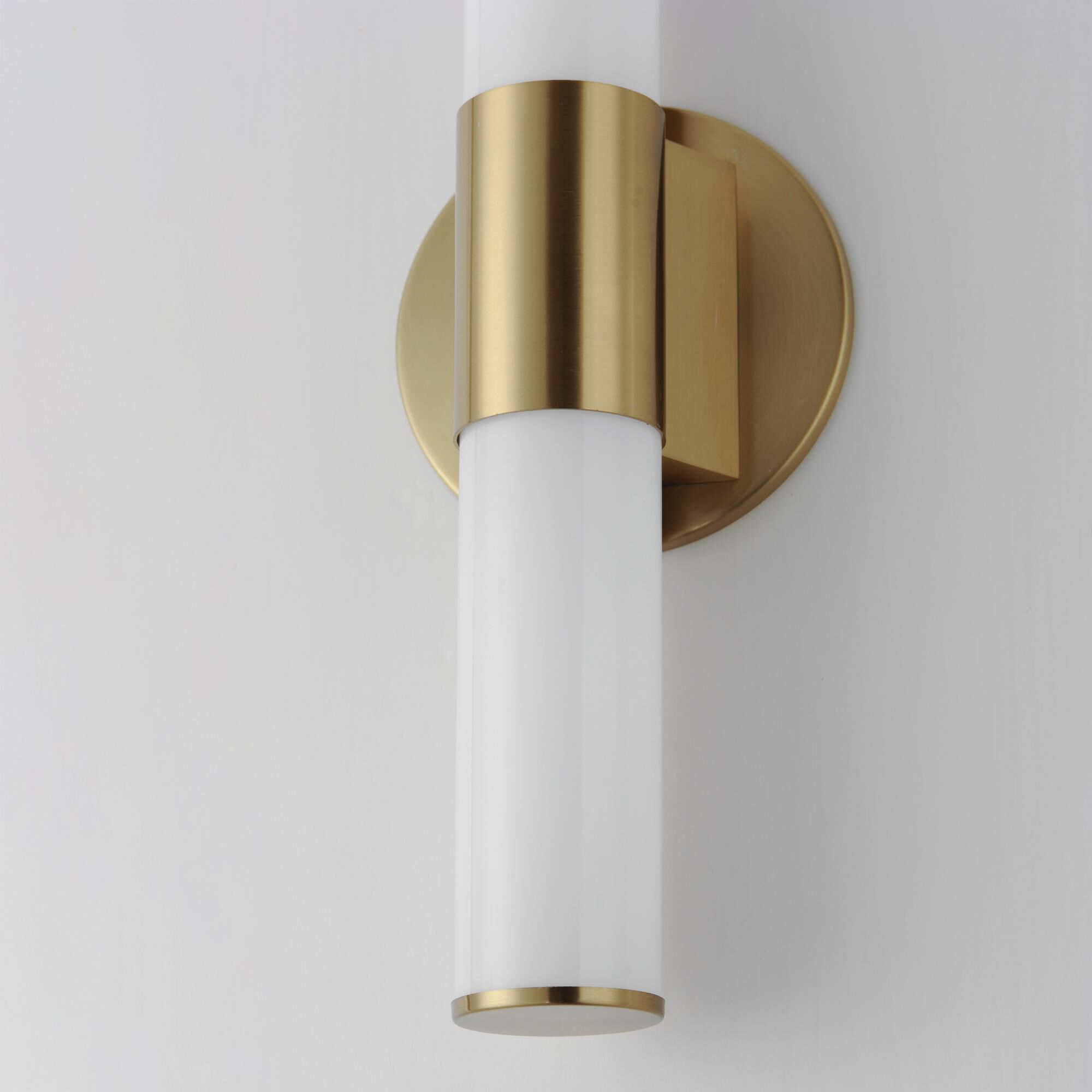 Tubo 18 Inch LED Bath Vanity Light | Capitol Lighting