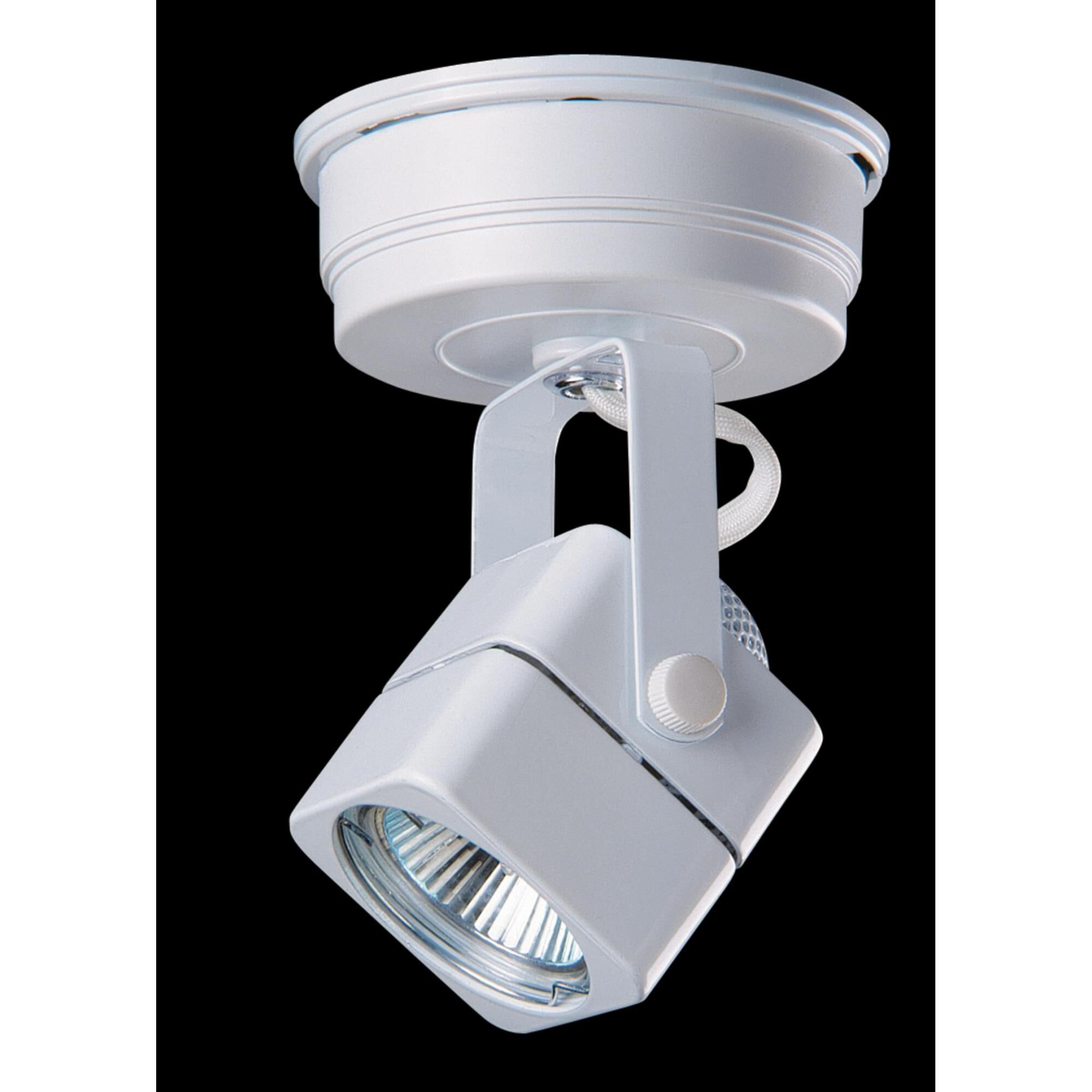 Monopoint Directional Head | Capitol Lighting