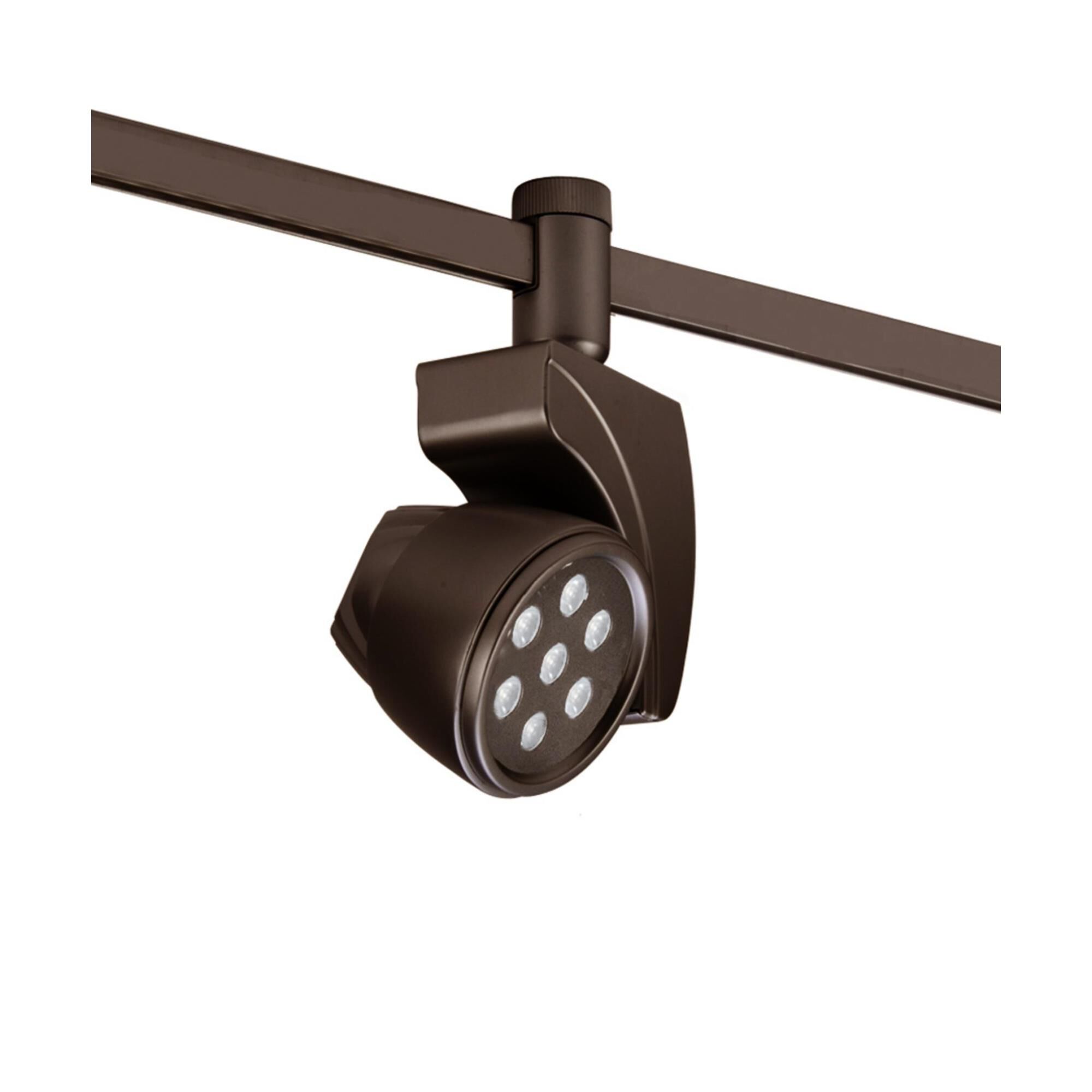 Reflex LED 45 Degree Directional Head | Capitol Lighting