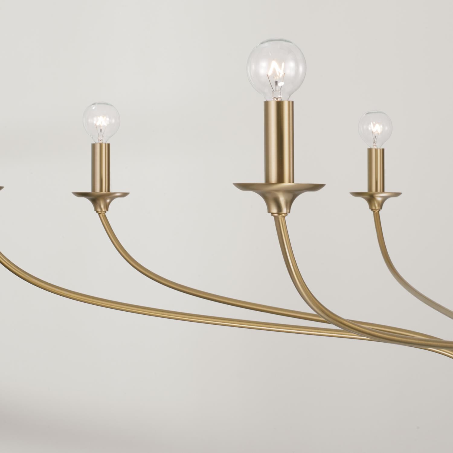 Dolan 52 Inch 8 Light Chandelier | Capitol Lighting